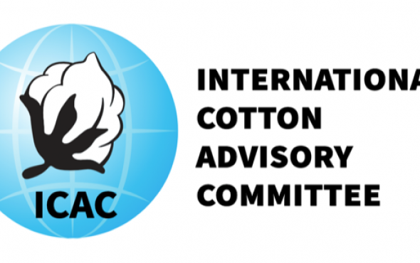 ICAC: Production to Outpace Consumption Despite Extreme Weather Events ...