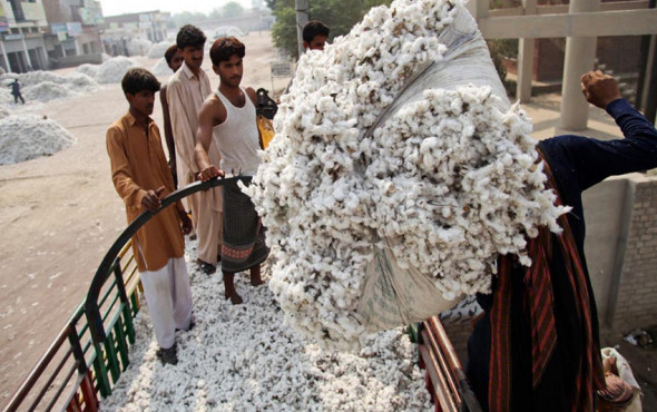 PAKISTAN: Cotton and Products Update