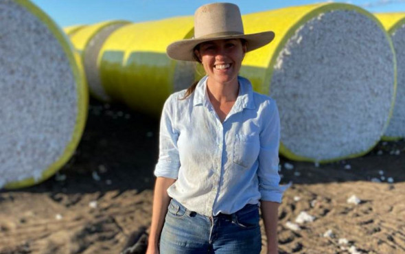 Cotton boom: Farmers picking $1.5b crop, with next season to be even better