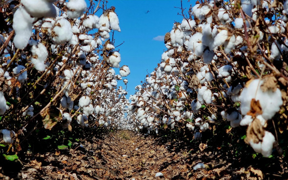 World Bank: Raw material commodity prices expected to rise as demand ...