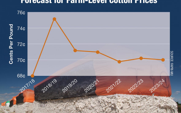 ICE Futures August 06