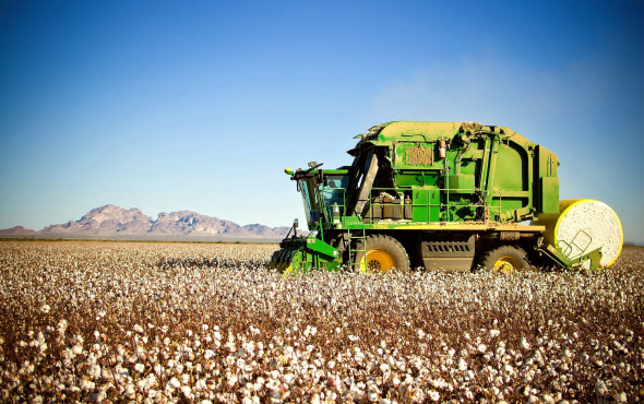 Wrangler Shows Economic Benefits of Sustainable Cotton Farming