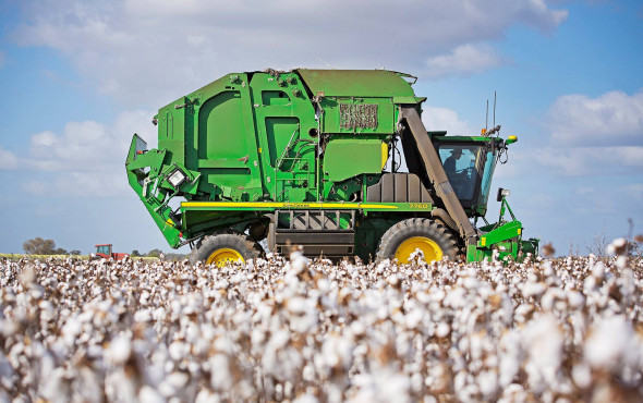 2024 In Review: Cotton Growers Continue to Face Increasing Economic ...